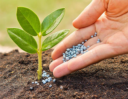 PASP-Based Micro Fertilizers – Improve Crop Quality & Fertilizer Efficiency